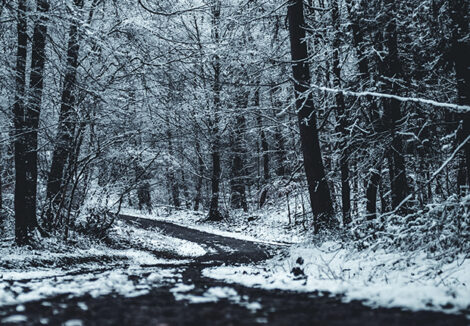 David Gauntlett | Blog