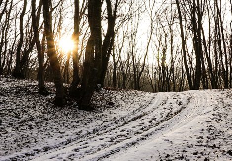 David Gauntlett | Blog